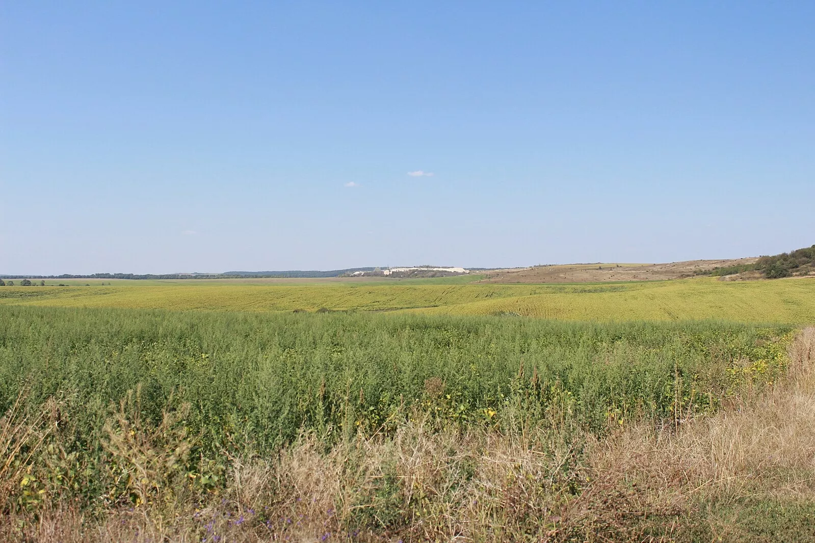 Земельный участок, 0 м² 7.1 сот. по адресу Тюменский р-н, деревня Елань ...